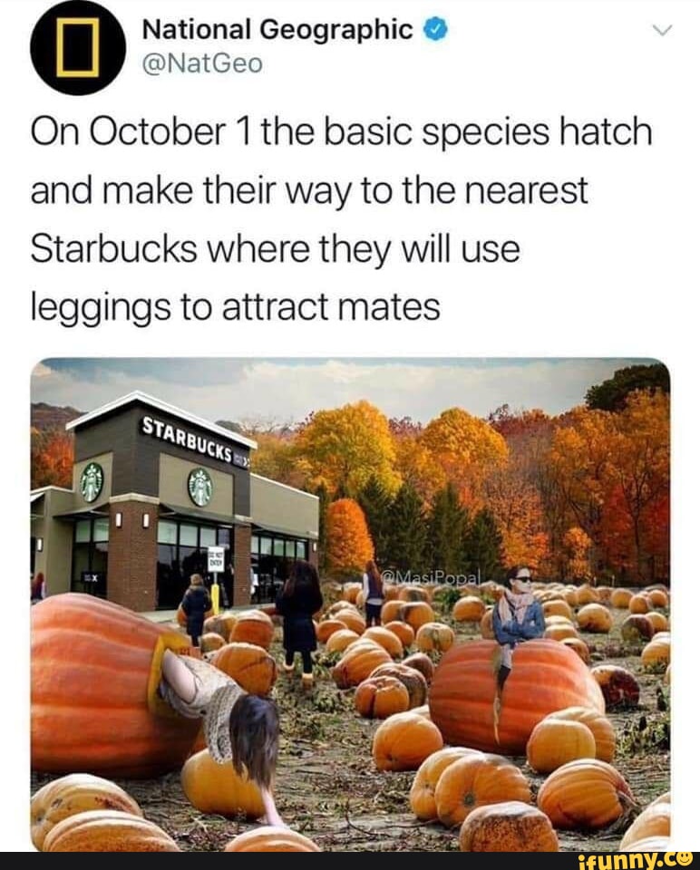 Attract memes. Best Collection of funny Attract pictures on iFunny