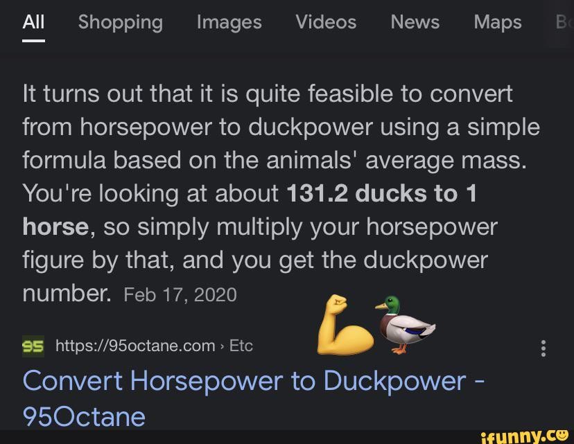 Duckpower memes. Best Collection of funny Duckpower pictures on iFunny