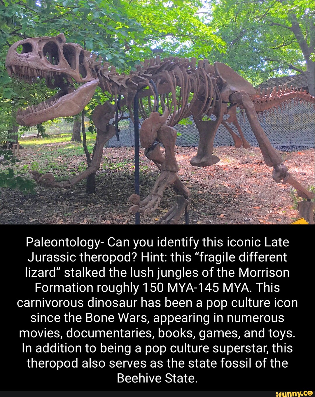 Paleontology- Can you identify this iconic Late Jurassic theropod? Hint ...