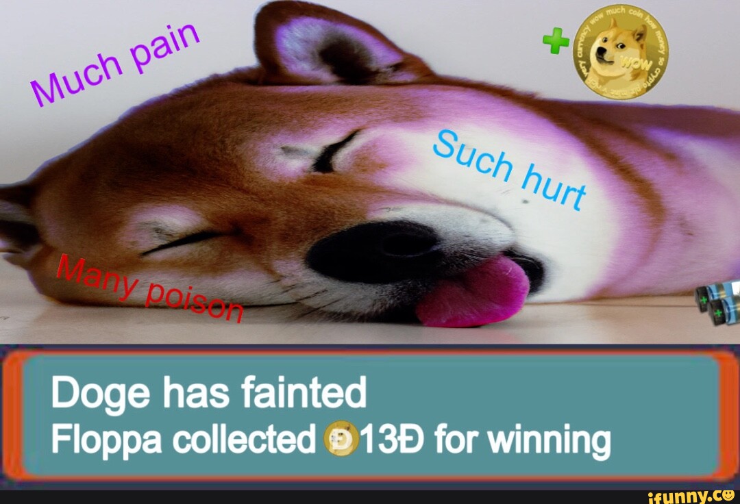 Floppavsbingus memes. Best Collection of funny Floppavsbingus pictures ...