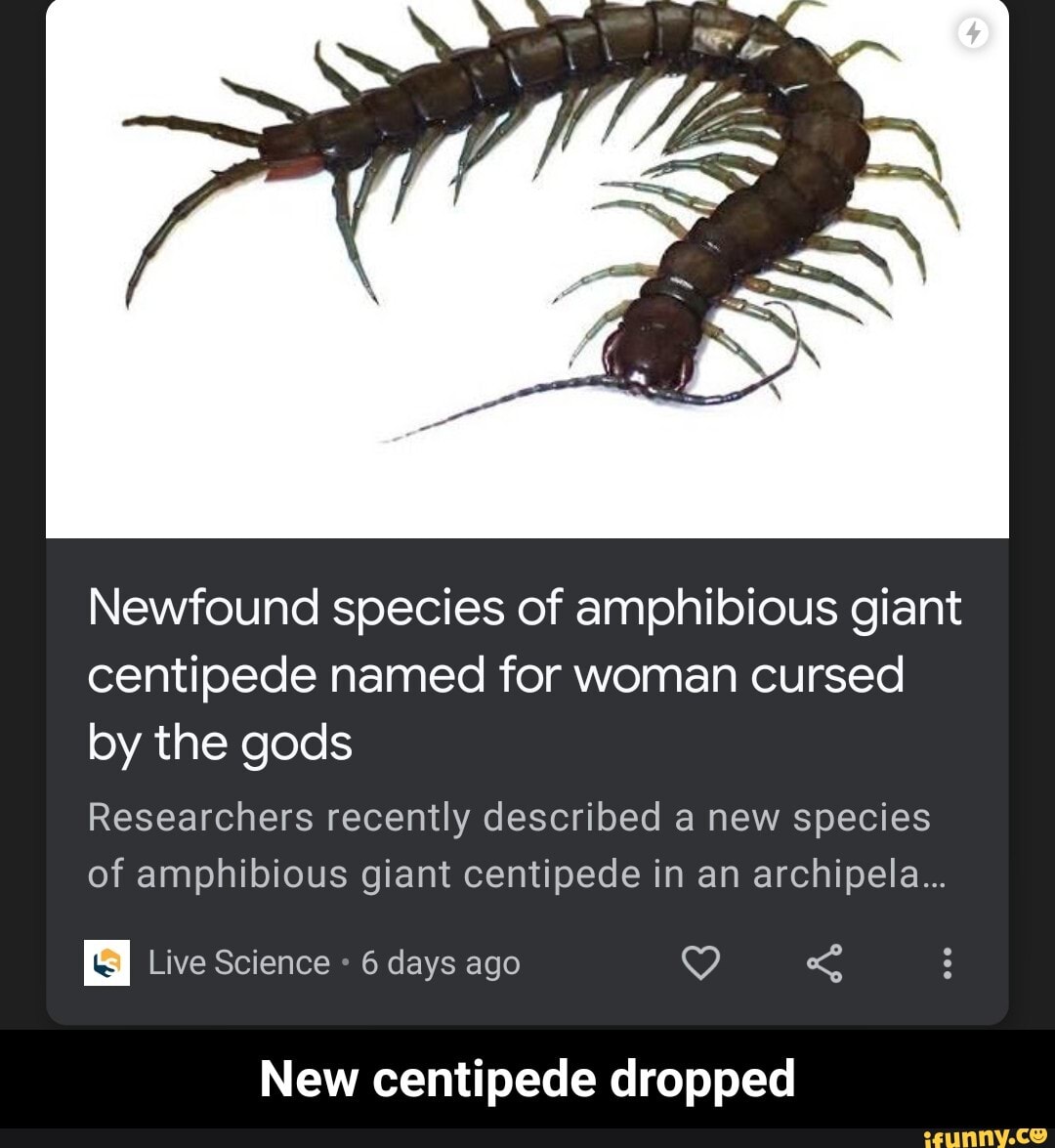 Newfound species of amphibious giant centipede named for woman cursed ...