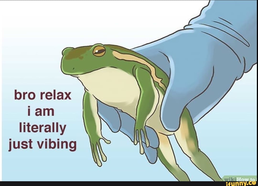Bro relax iam literally just vibing - iFunny