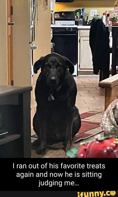 Judging memes. Best Collection of funny Judging pictures on iFunny