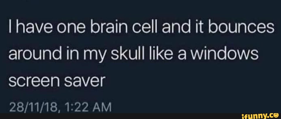 I have one brain cell and it bounces around in my skull like a windows ...