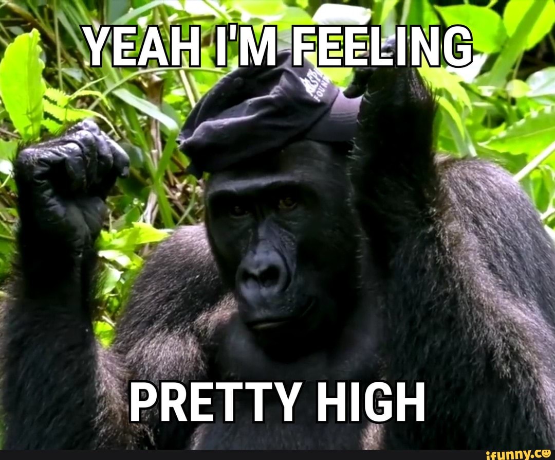 Obnga memes. Best Collection of funny Obnga pictures on iFunny