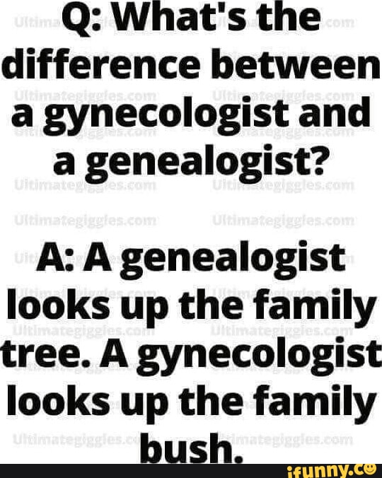 Gynecologist memes. Best Collection of funny Gynecologist pictures on ...