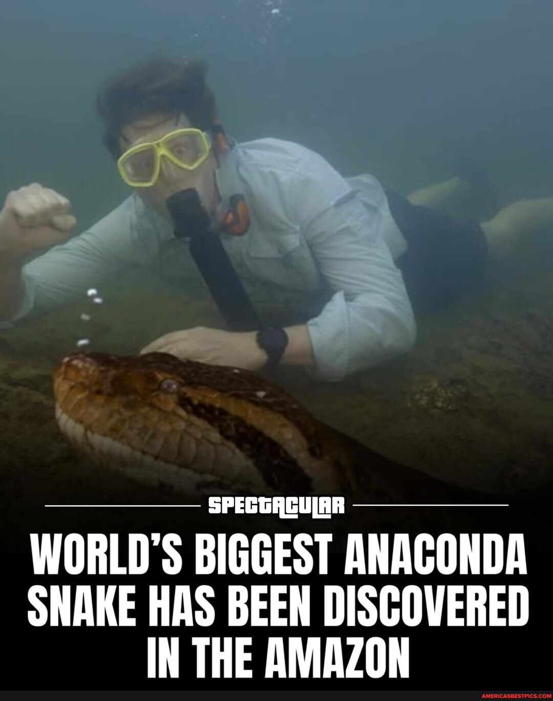 SPECURCUIAR WORLD'S BIGGEST ANACONDA SNAKE HAS BEEN DISCOVERED IN THE ...