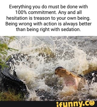 Sedation memes. Best Collection of funny Sedation pictures on iFunny