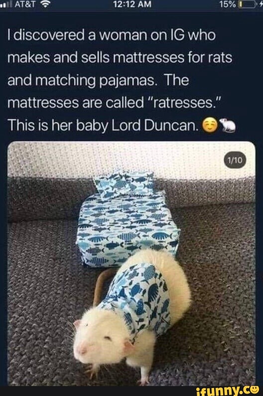 Pajamas memes. Best Collection of funny Pajamas pictures on iFunny