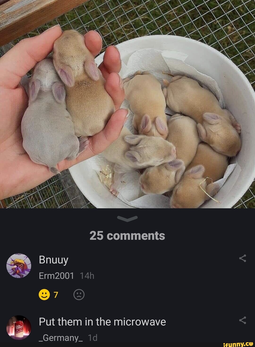 25 comments Put them in the microwave Bnuuy Erm2001 @7 _Germany_ - iFunny