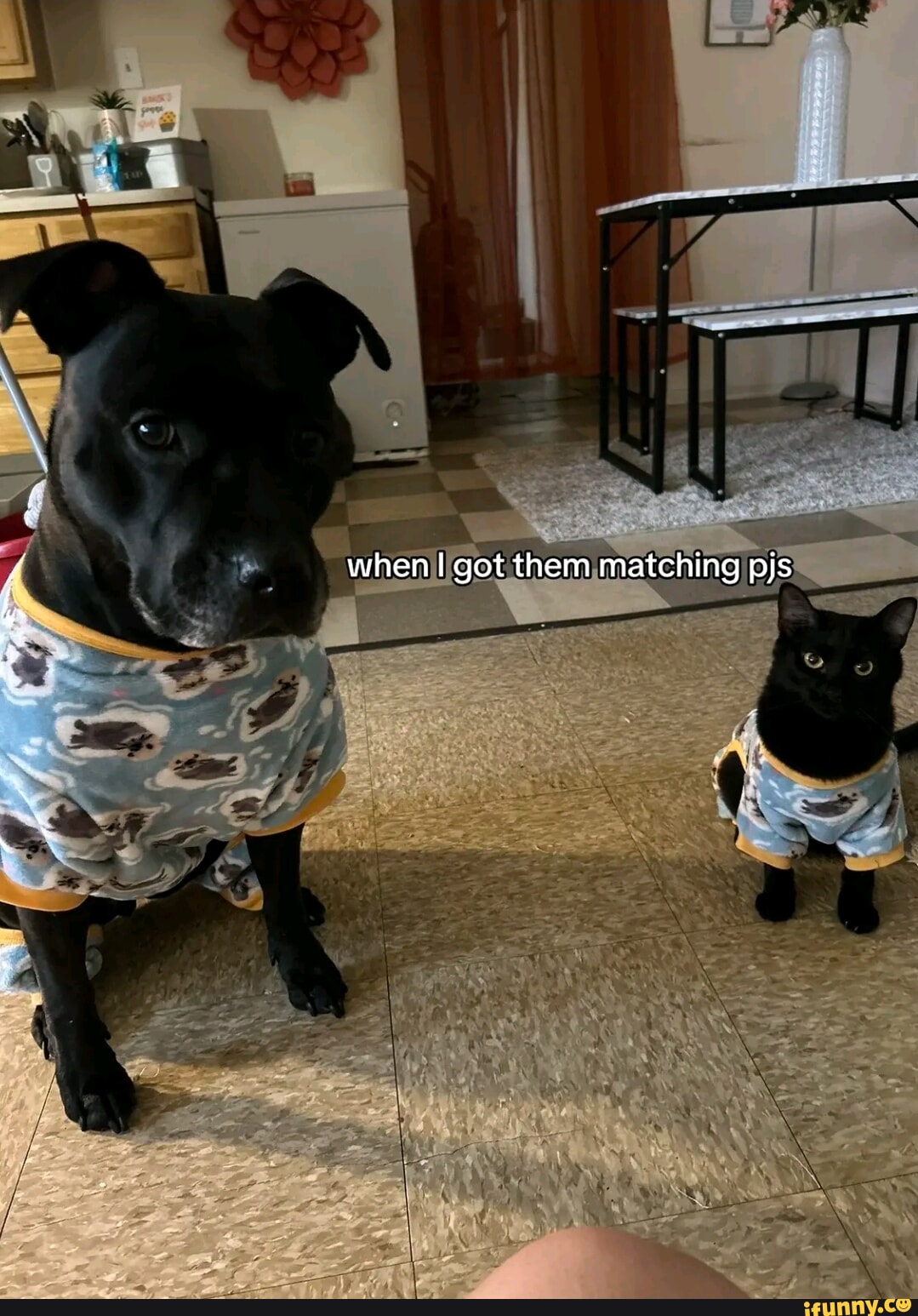 Picture memes SuCvGEpqA by TheGoyimPrideMovement: 200 comments - iFunny