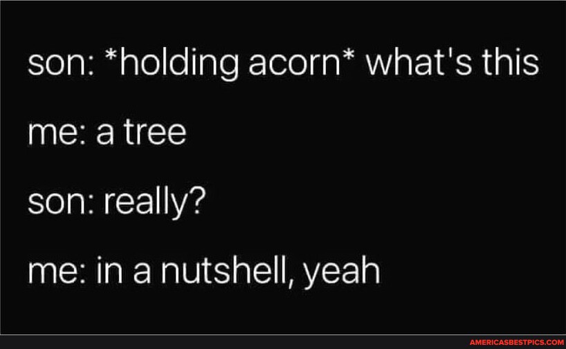 Son: *holding acorn* what's this me: a tree son: really? me: in a nutshell, yeah - America’s ...