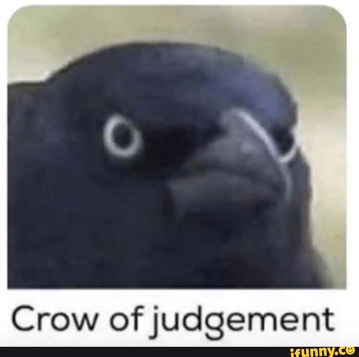 Crow of judgement - iFunny