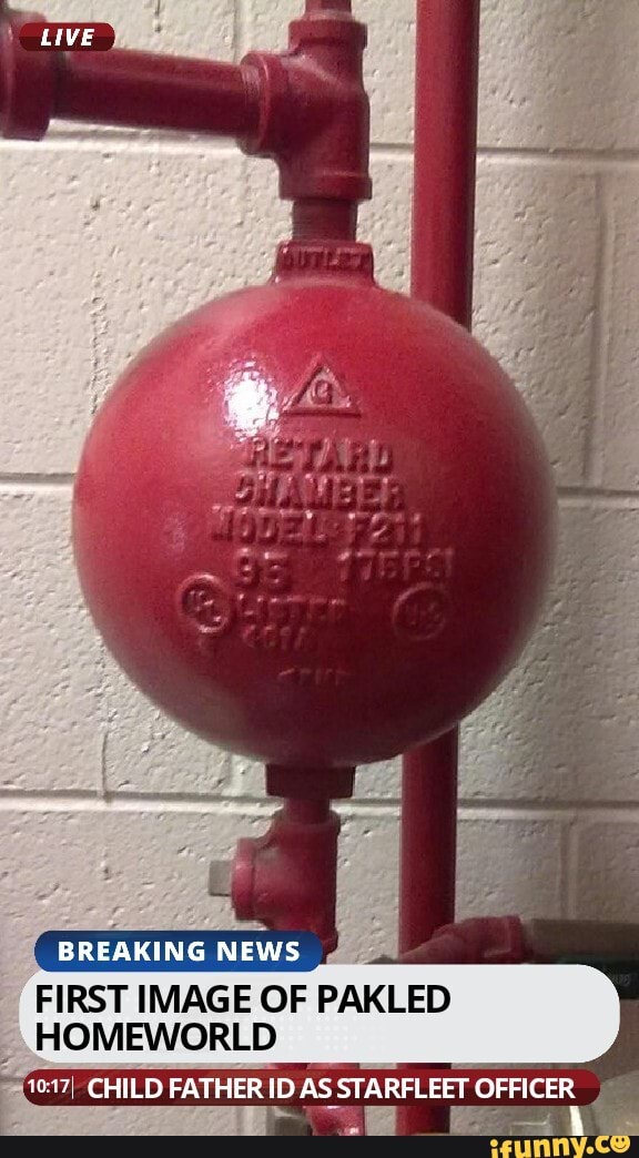 Pakled memes. Best Collection of funny Pakled pictures on iFunny