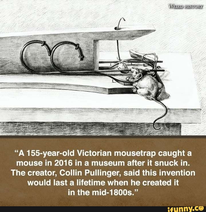 "A 155-year-old Victorian mousetrap caught a mouse in 2016 in a museum ...