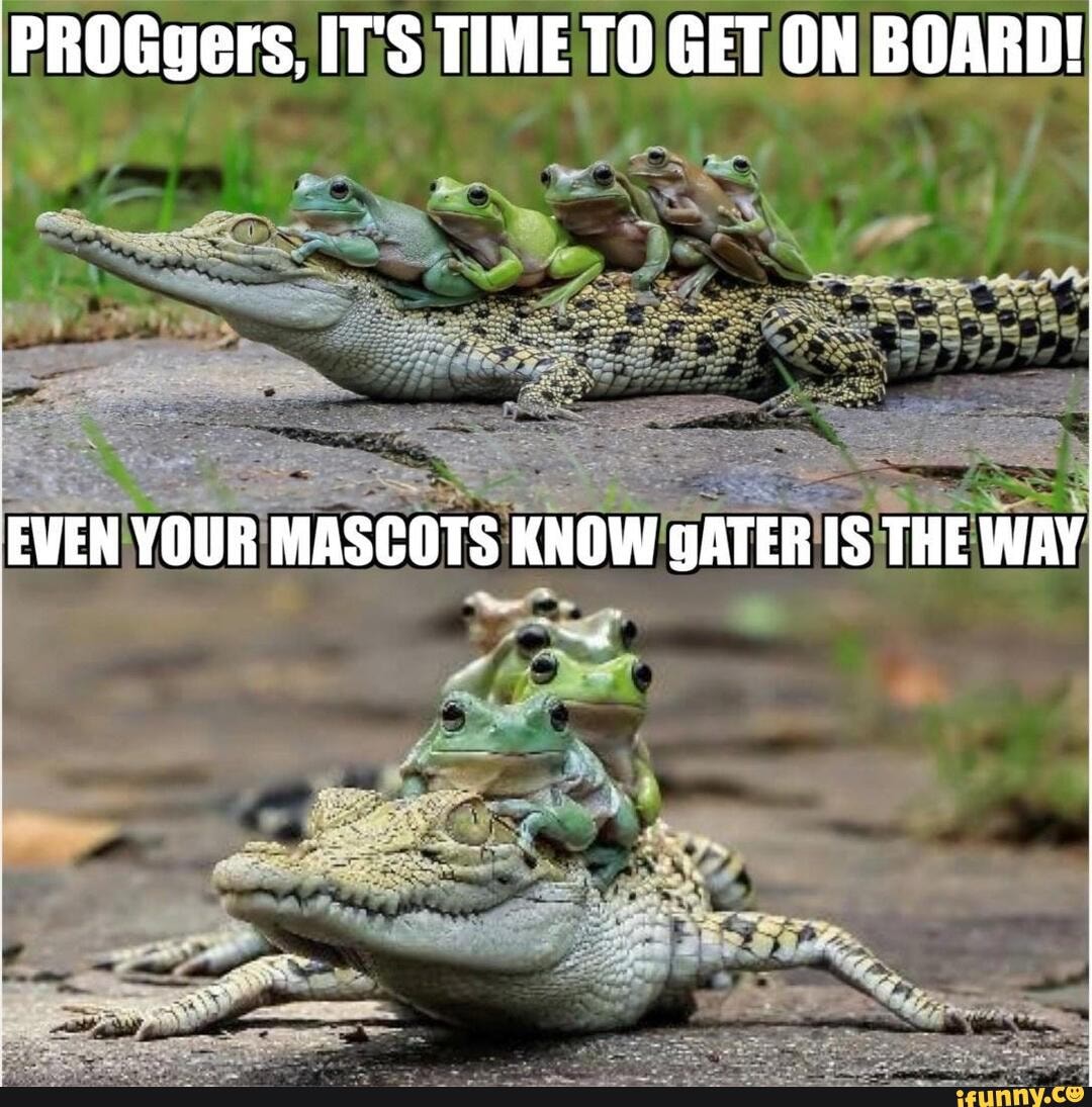 Gater memes. Best Collection of funny Gater pictures on iFunny