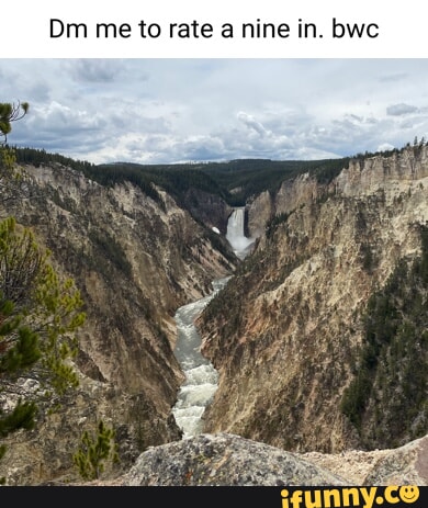 Dicpic memes. Best Collection of funny Dicpic pictures on iFunny