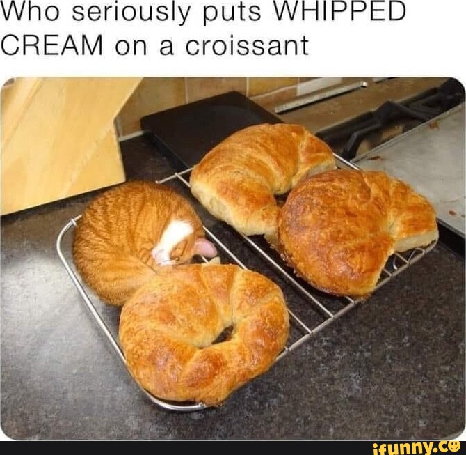 Croissant memes. Best Collection of funny Croissant pictures on iFunny