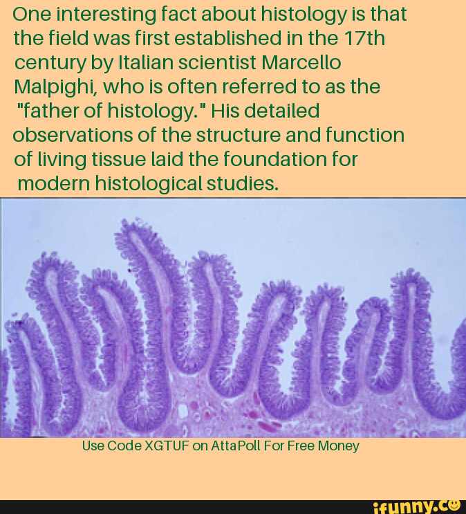 Histology memes. Best Collection of funny Histology pictures on iFunny