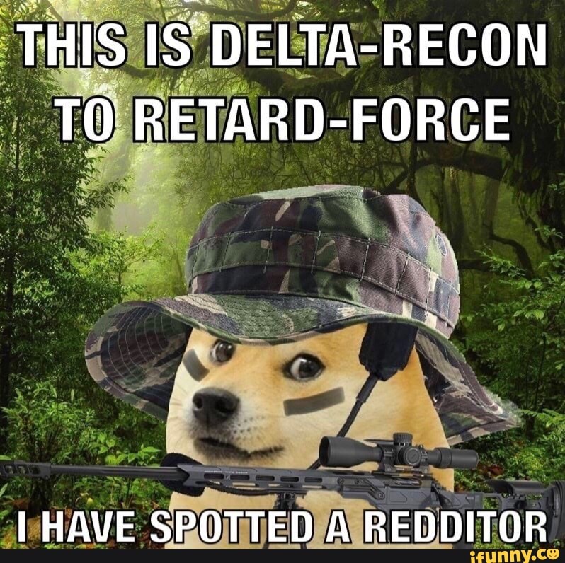 THIS IS DELTA-RECON TO FORCE HAVE SPOTTED A REDDITOR - iFunny