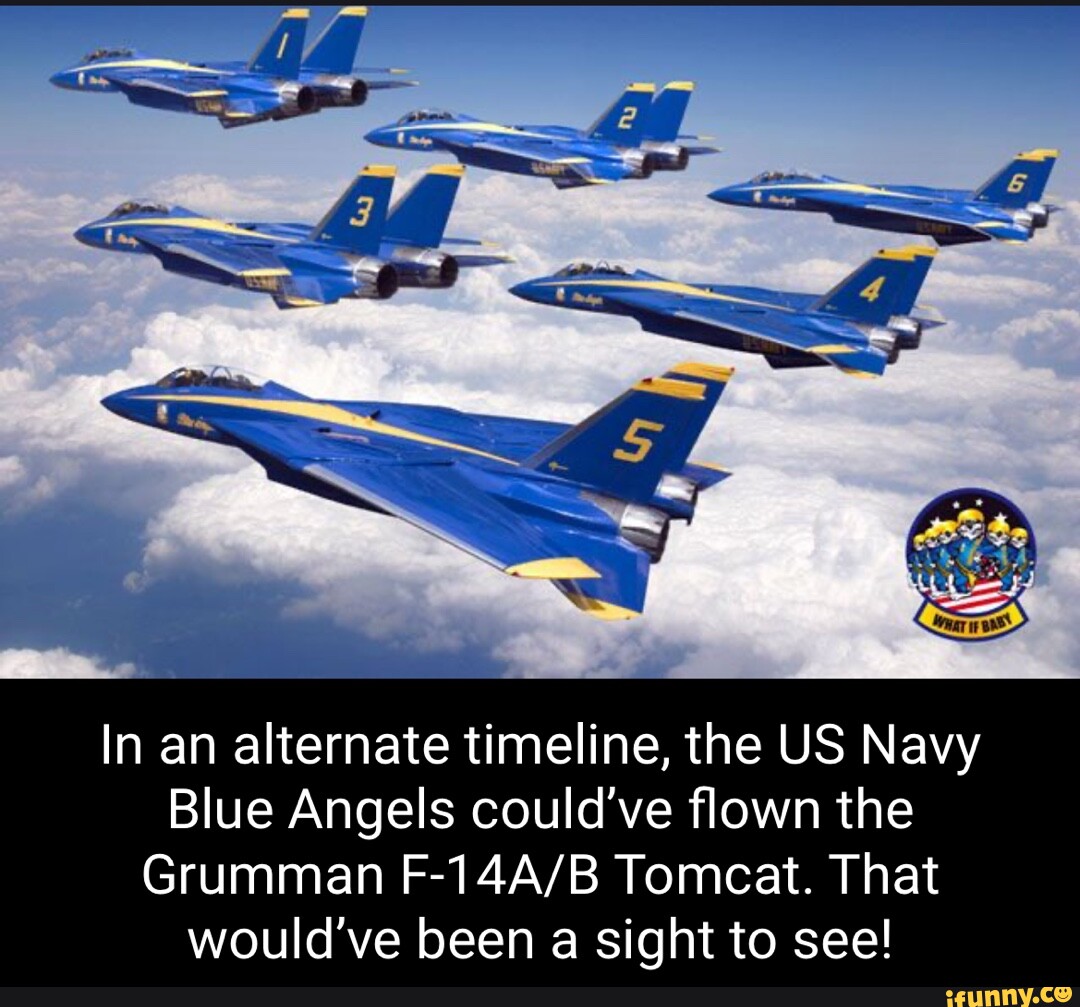 In an alternate timeline, the US Navy Blue Angels could've flown the ...