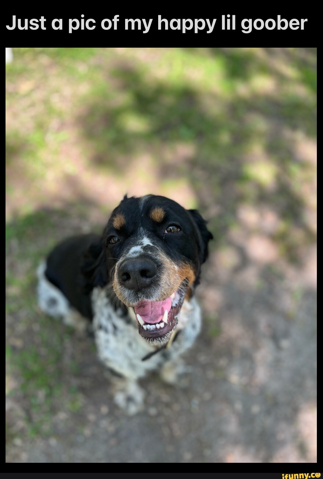 Goober memes. Best Collection of funny Goober pictures on iFunny