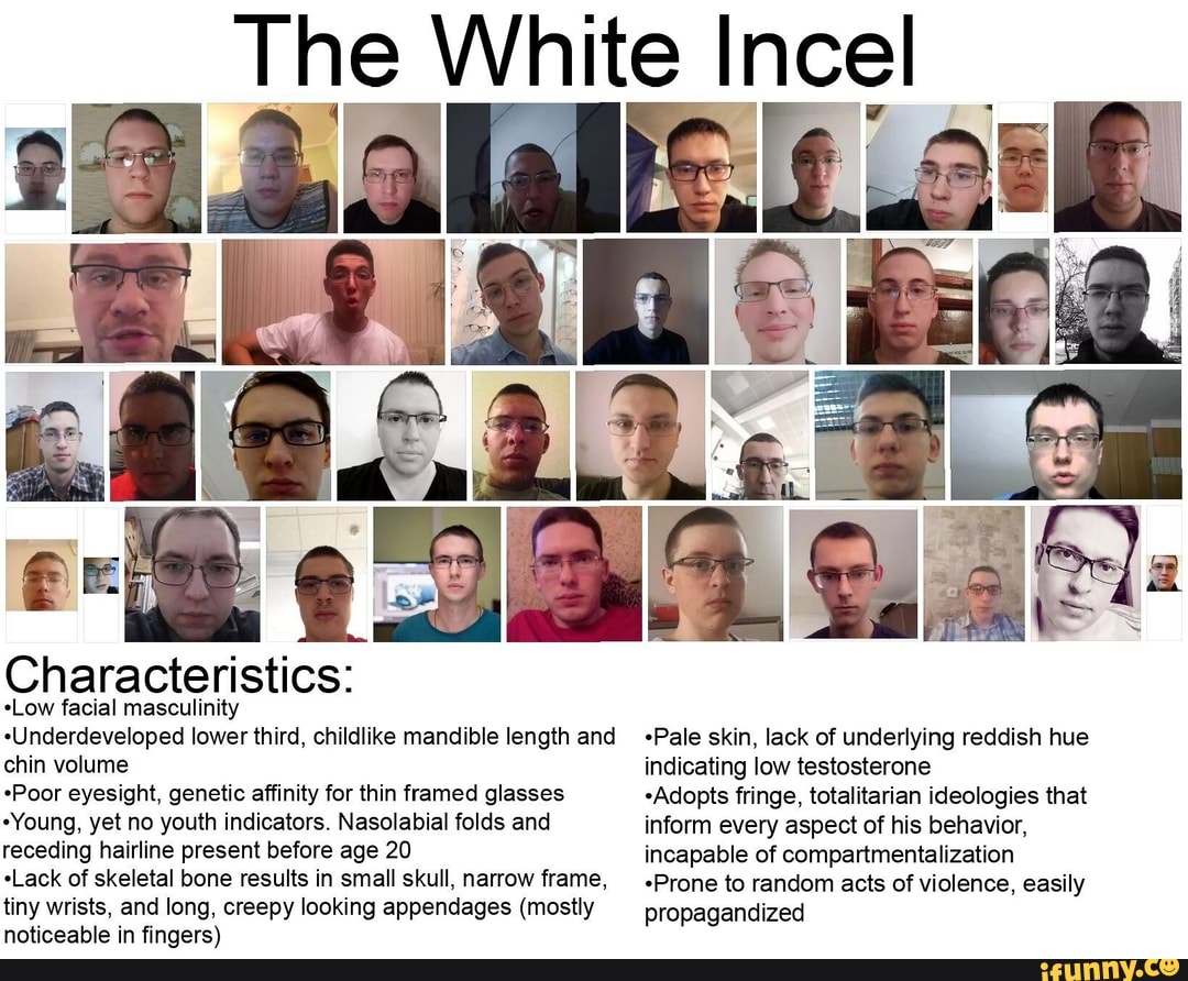 The White Incel Characteristics: "Low facial masculinity ...