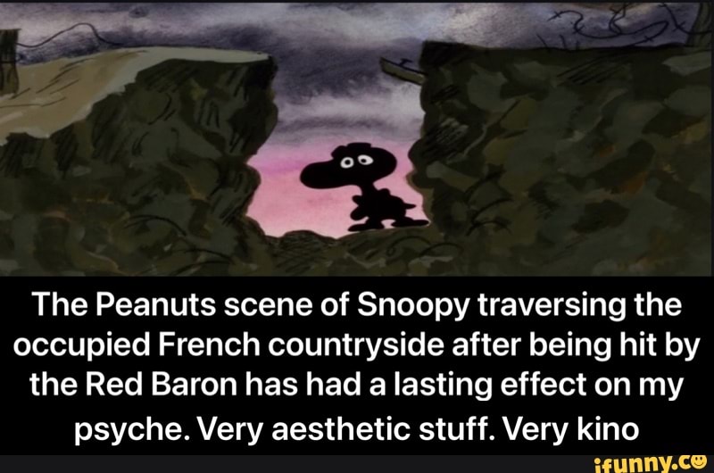 The Peanuts scene of Snoopy traversing the occupied French countryside ...