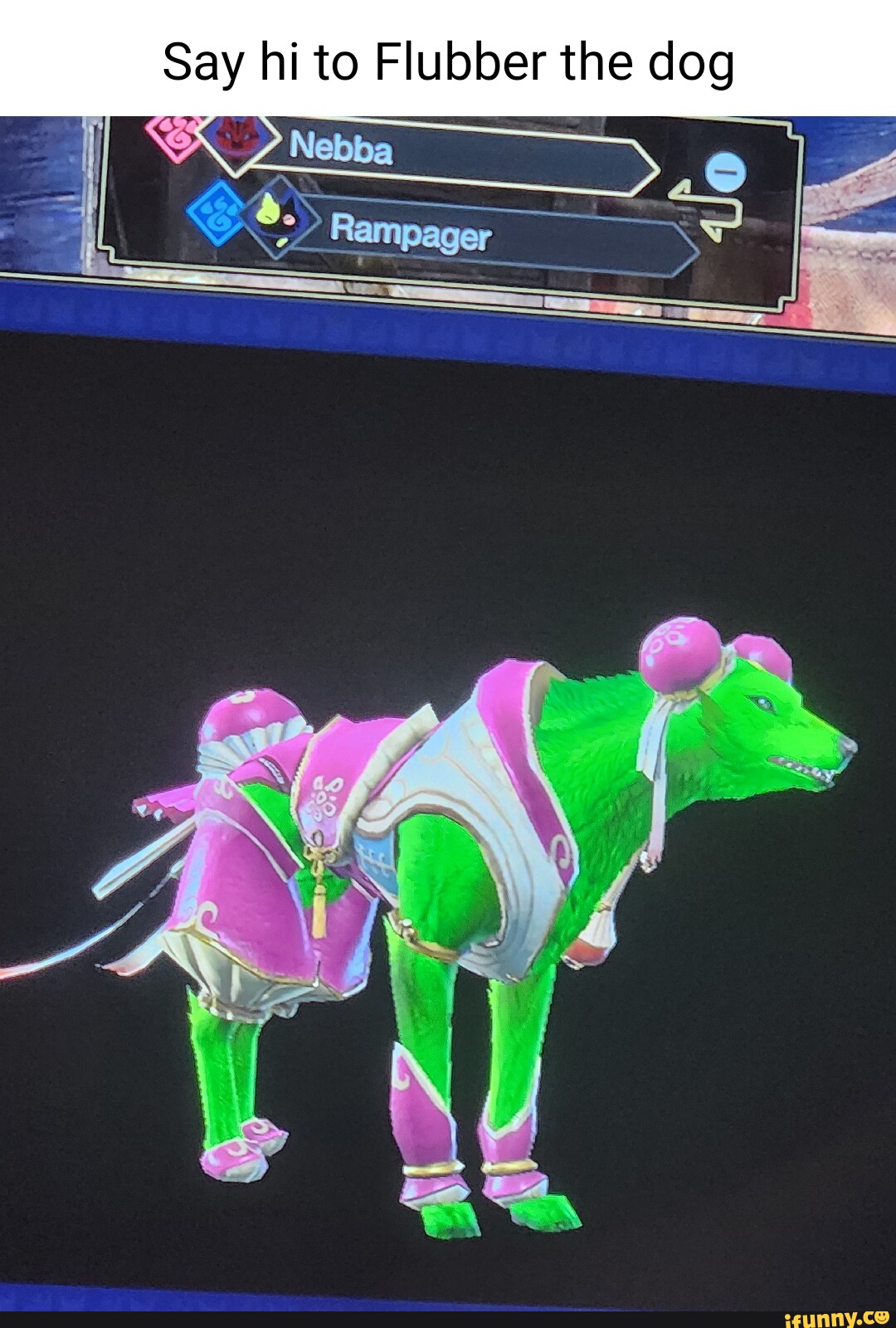 Say hi to Flubber the dog Nebba es - iFunny