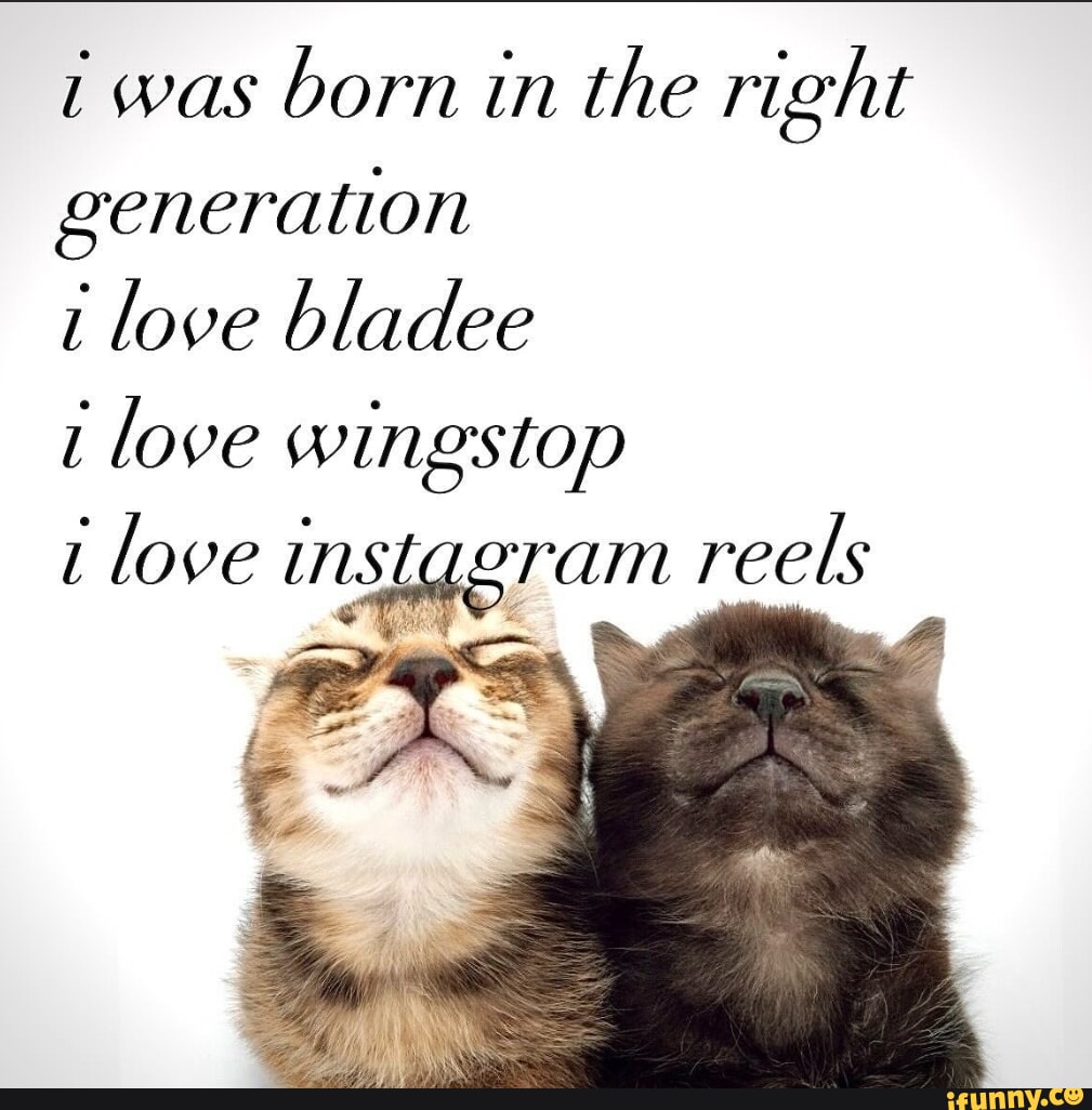 Wingstop memes. Best Collection of funny Wingstop pictures on iFunny