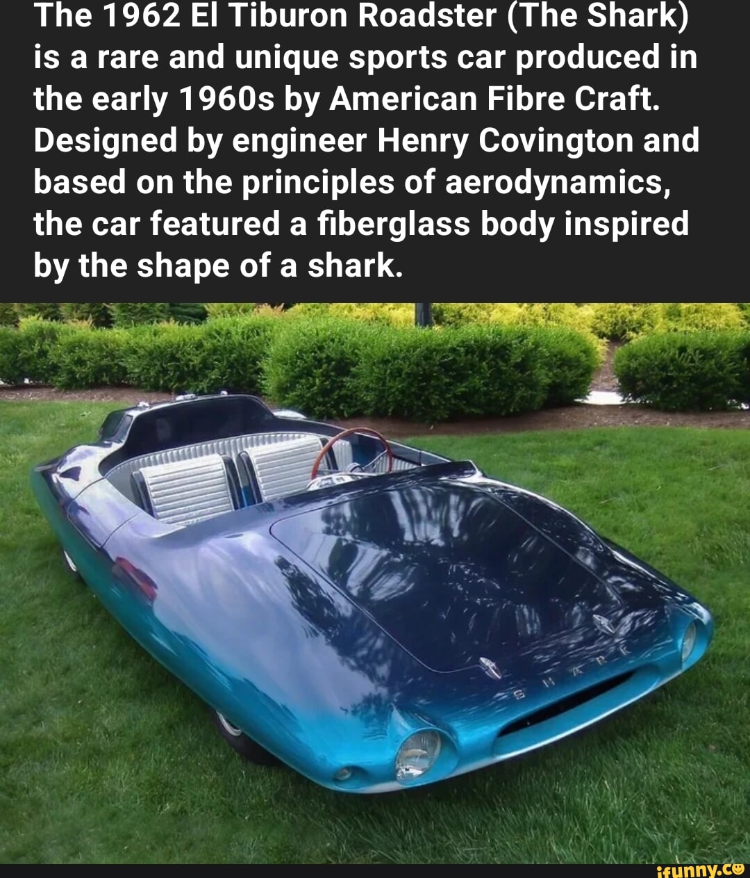 The 1962 El Tiburon Roadster (The Shark) is a rare and unique sports ...