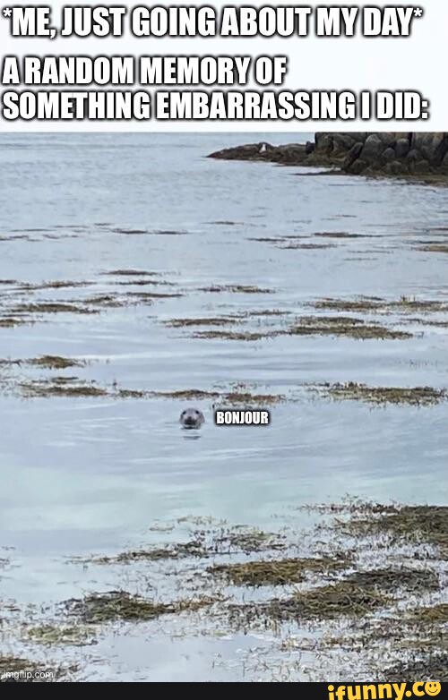 I cal this meme template The Seal of Perpetual Regret - /ABOUT ...