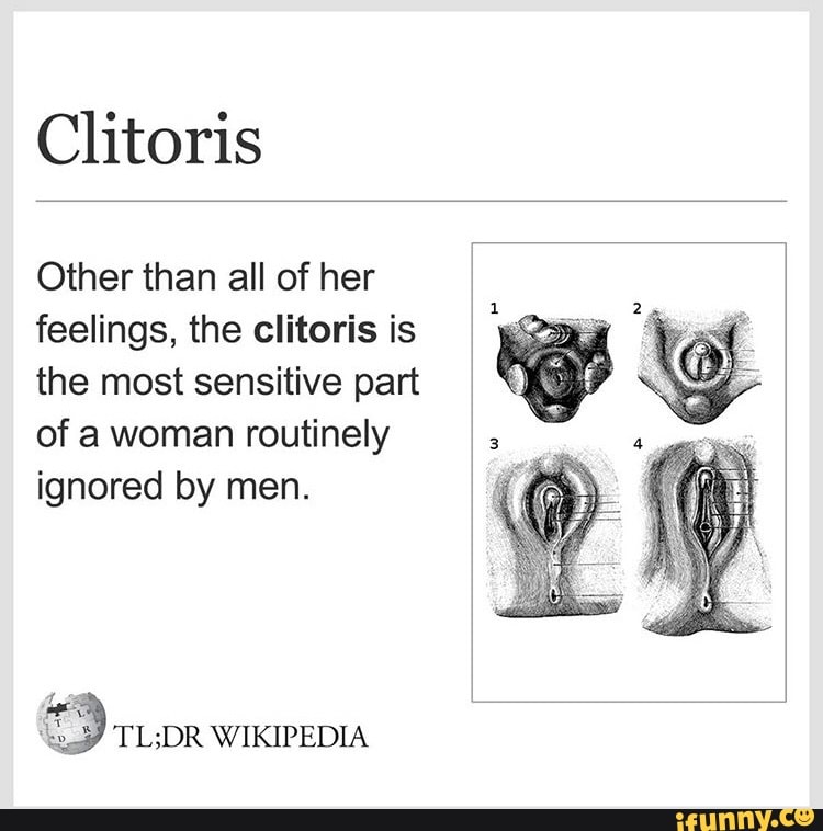 Clitoris Other Than All Of Her Feelings The Clitoris Is The Most