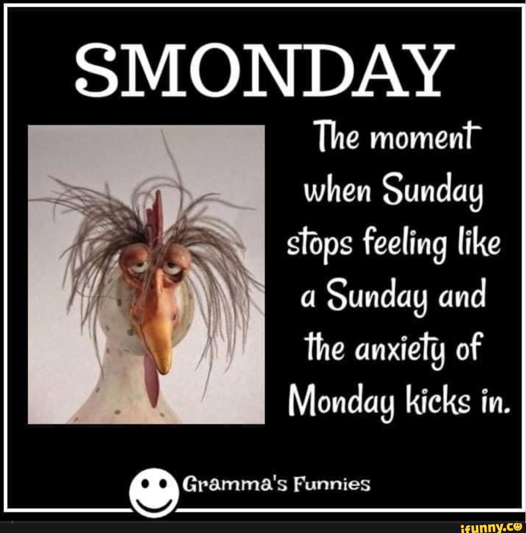 Smonday memes. Best Collection of funny Smonday pictures on iFunny
