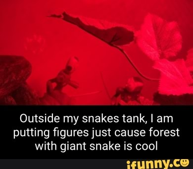 Outside my snakes tank, I am putting figures just cause forest with giant snake is cool - iFunny