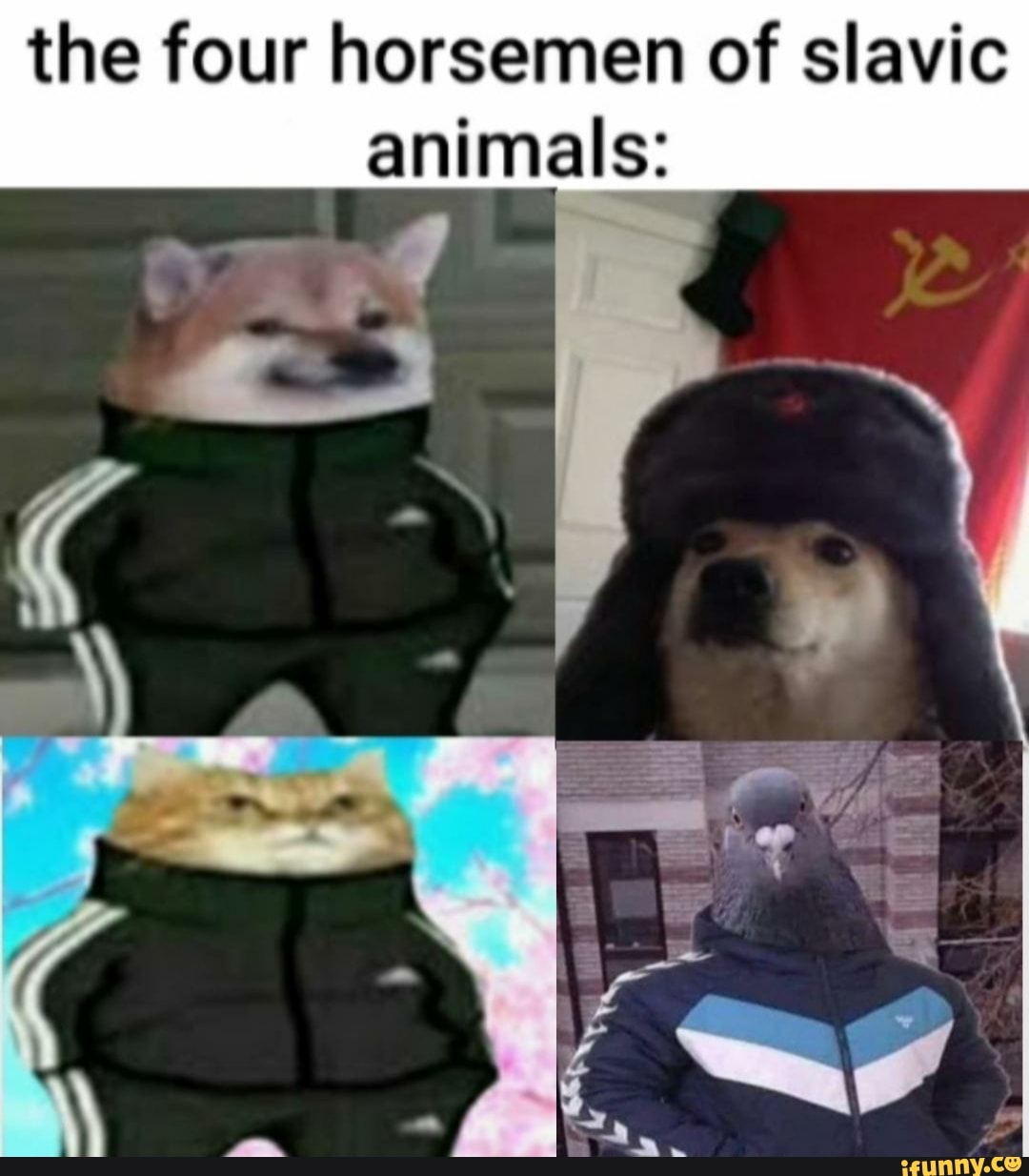 The four horsemen of slavic animals: - iFunny