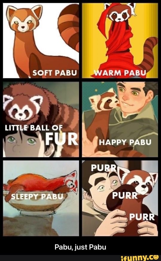 Pabu memes. Best Collection of funny Pabu pictures on iFunny