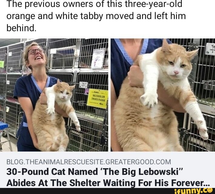 John Thompson was home alone when he had both of his arms ripped off ...