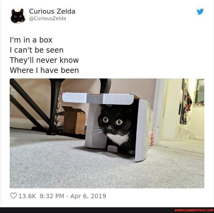 Curious Zelda I'm in a box can't be seen They'll never know Where I ...