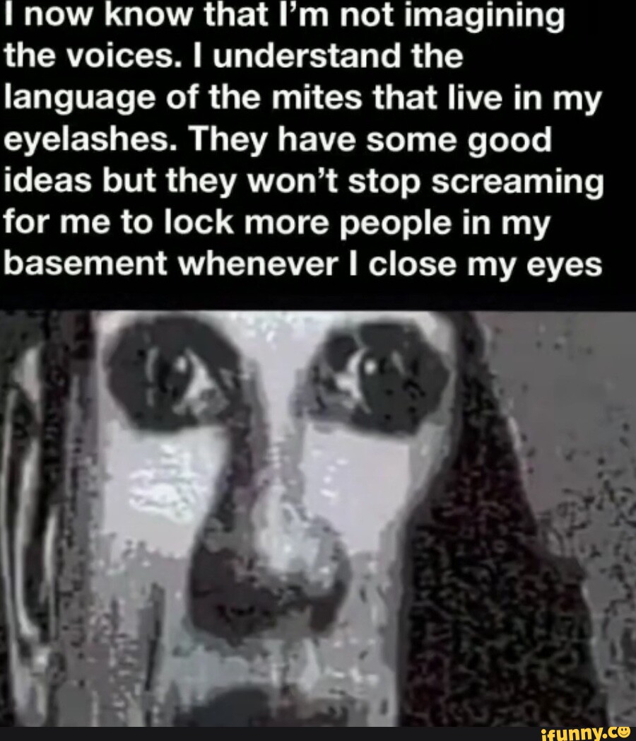 Mites memes. Best Collection of funny Mites pictures on iFunny