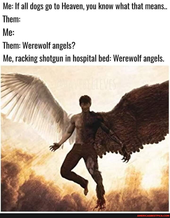 Me: If all dogs go to Heaven, you know what that means.. Them: Me: Them ...