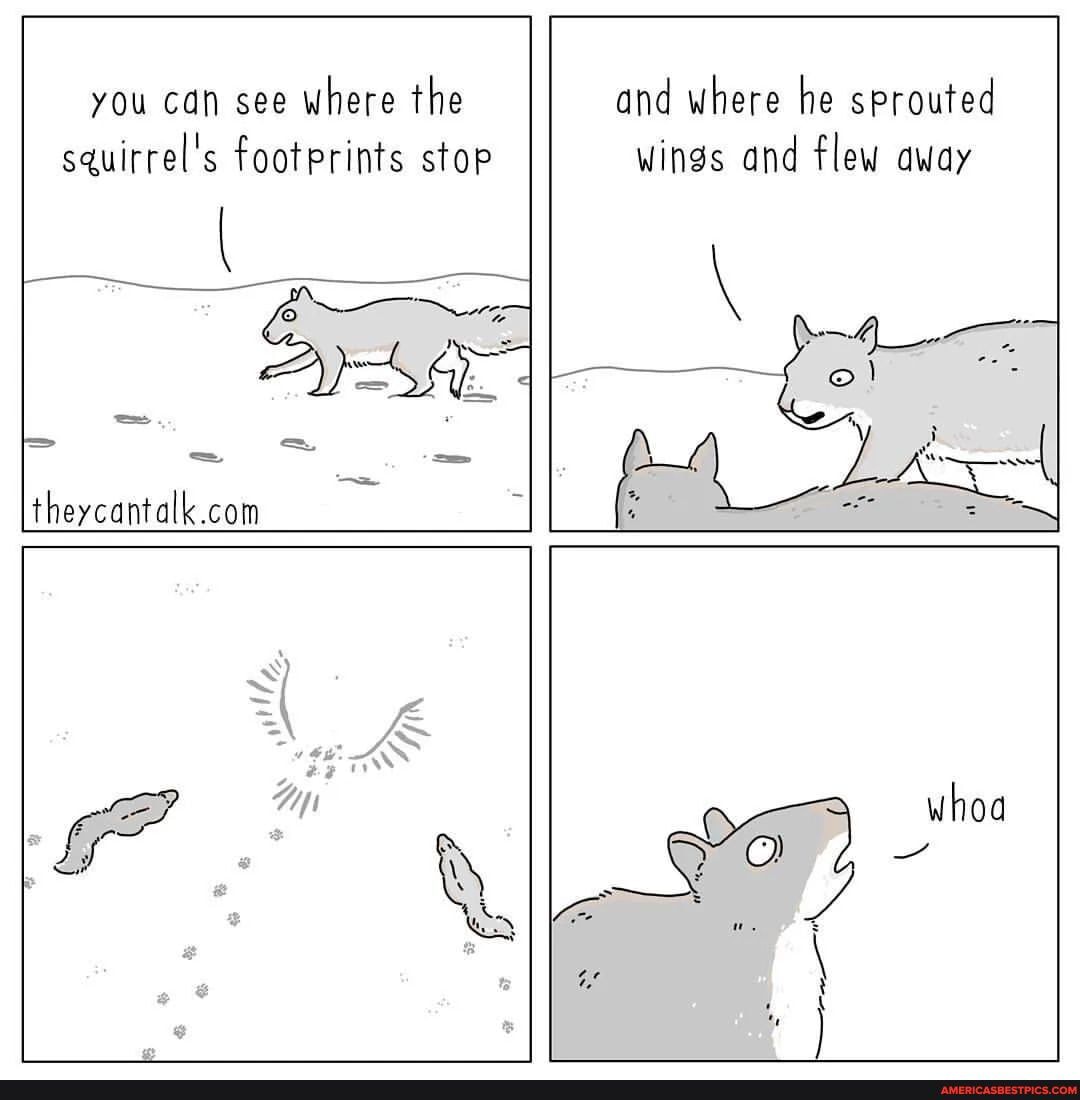 You can see where the and where he sprouted squirrel's footprints stop ...