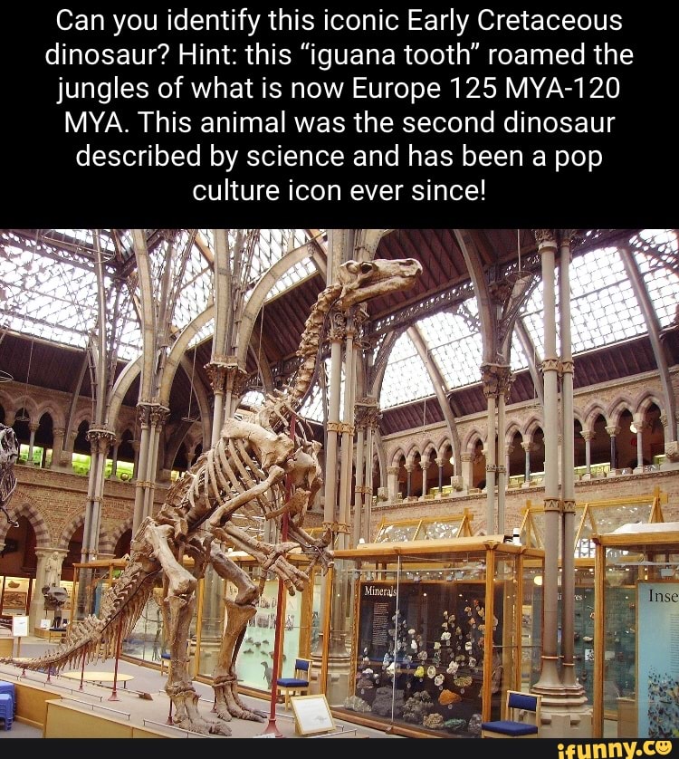 Can you identify this iconic Early Cretaceous dinosaur? Hint: this ...