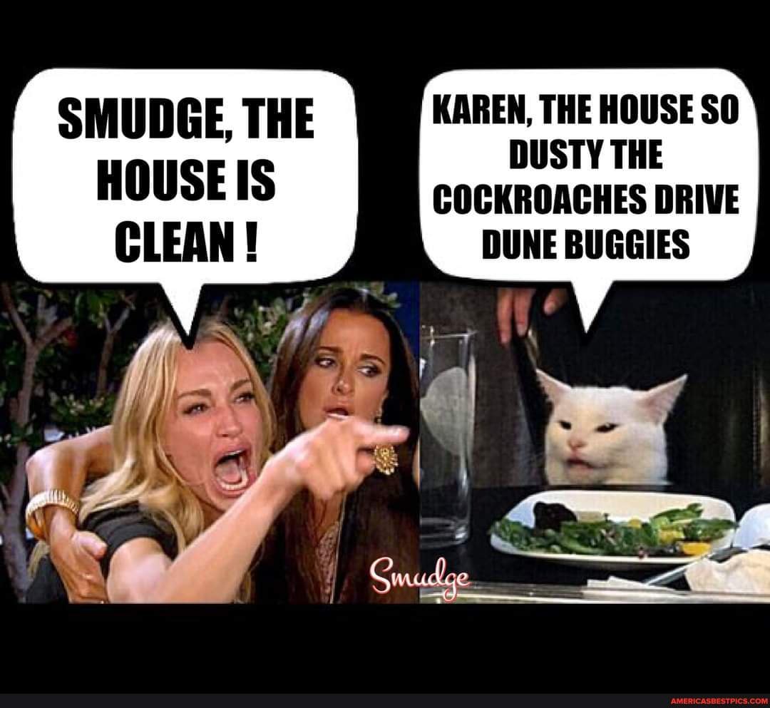 SMUDGE, THE KAREN, THE HOUSE SO DUSTY THE HOUSE IS COCKROACHES DRIVE ...