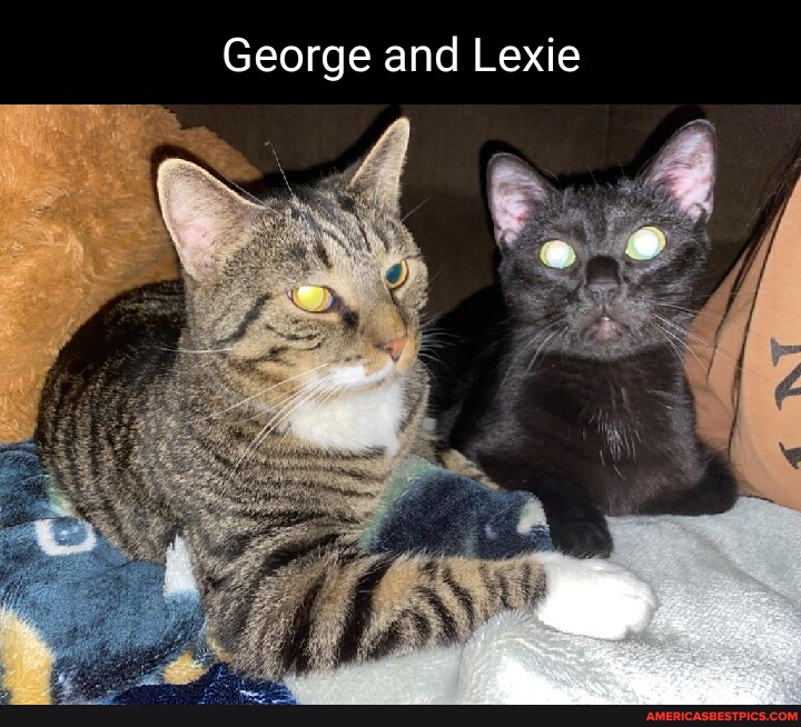 George and Lexie - America’s best pics and videos