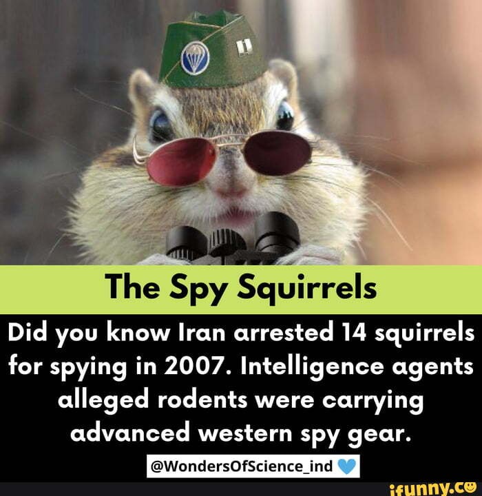 Spy Did you know Iran arrested 14 squirrels for spying in 2007 ...