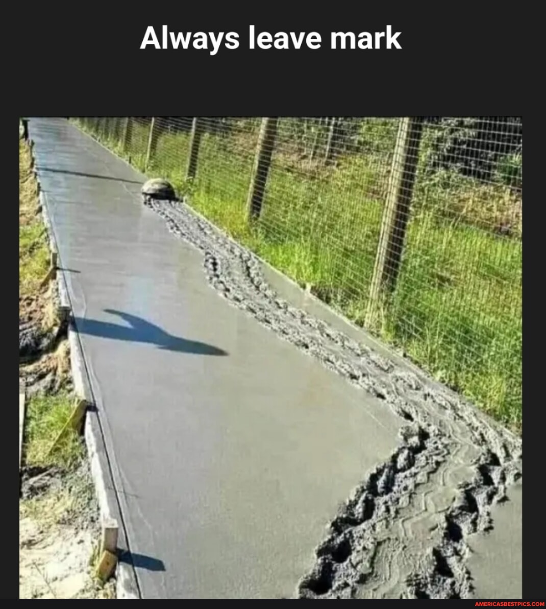 Always leave mark - America’s best pics and videos