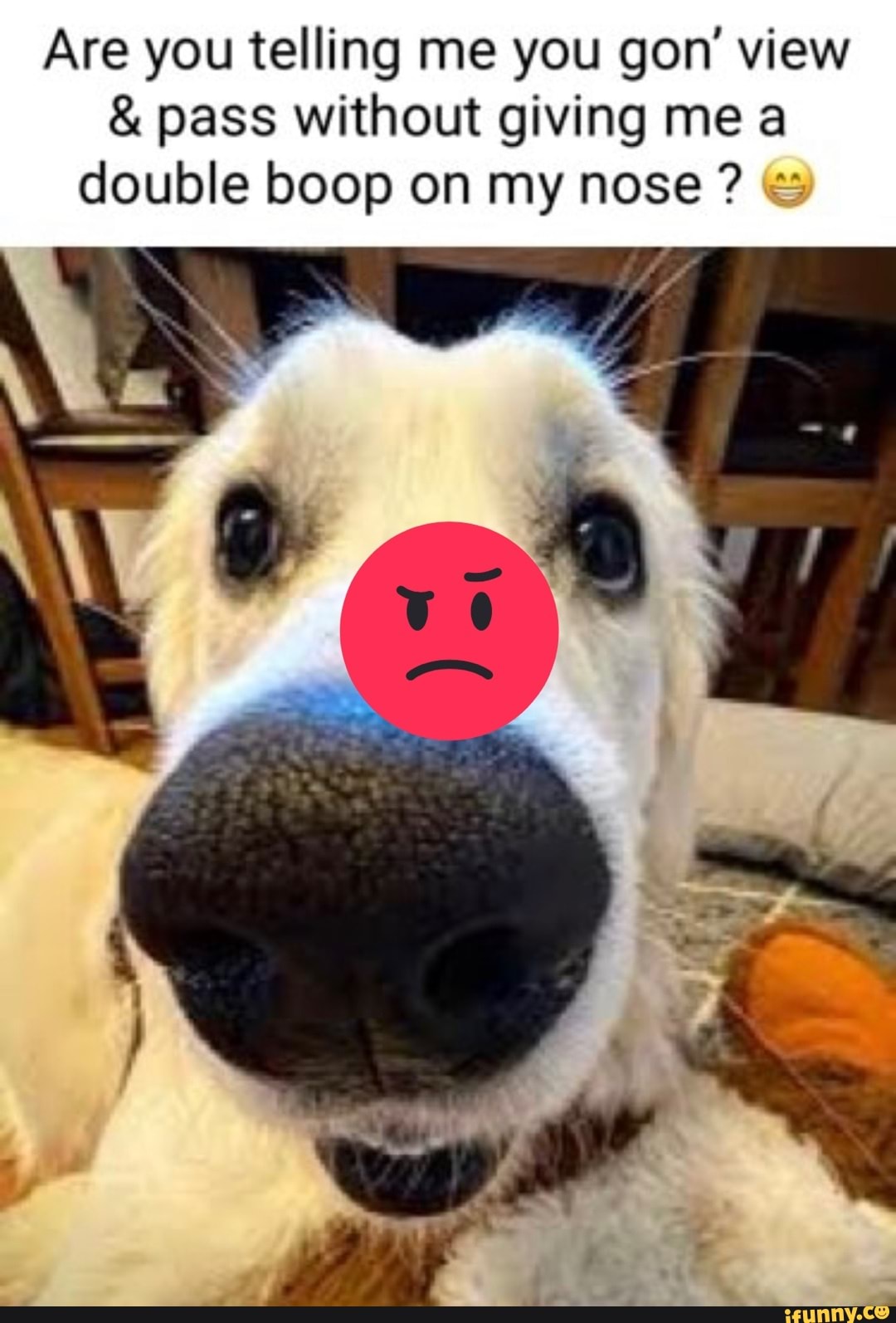 Are you telling me you gon' view & pass without giving me a double boop ...