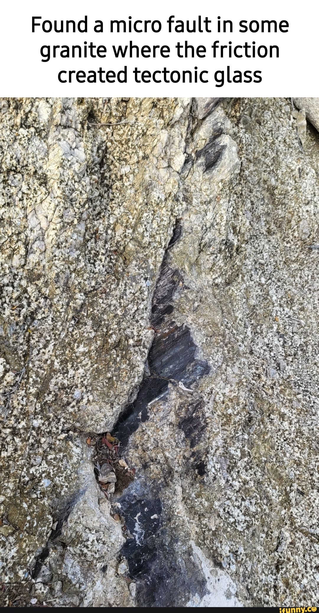 Tectonic memes. Best Collection of funny Tectonic pictures on iFunny