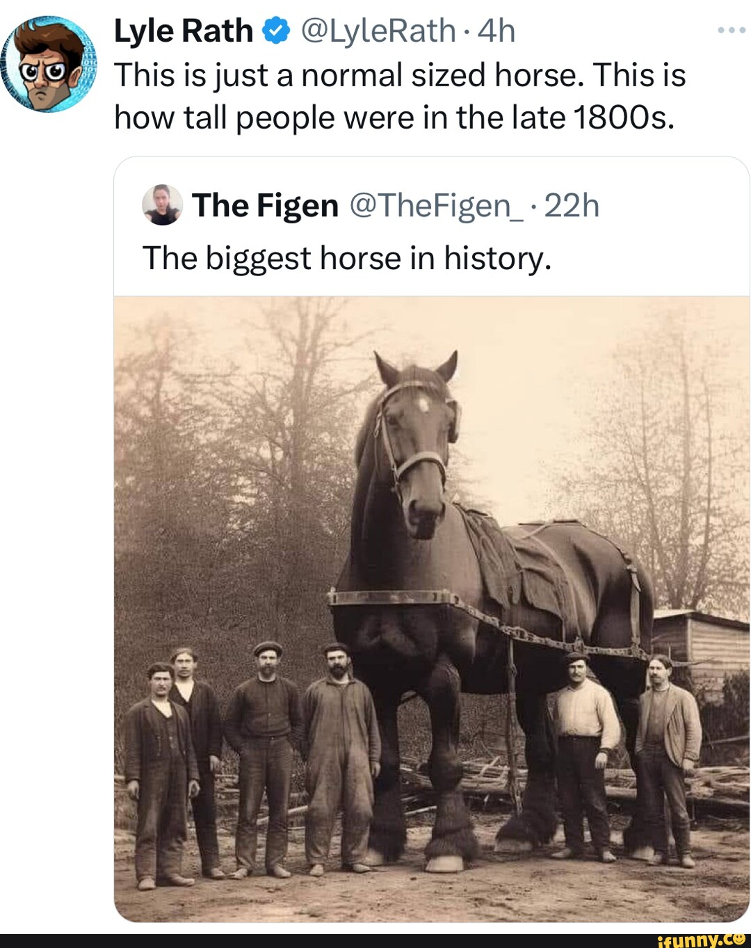 Lyle Rath @ @LyleRath- This is just a normal sized horse. This is how ...